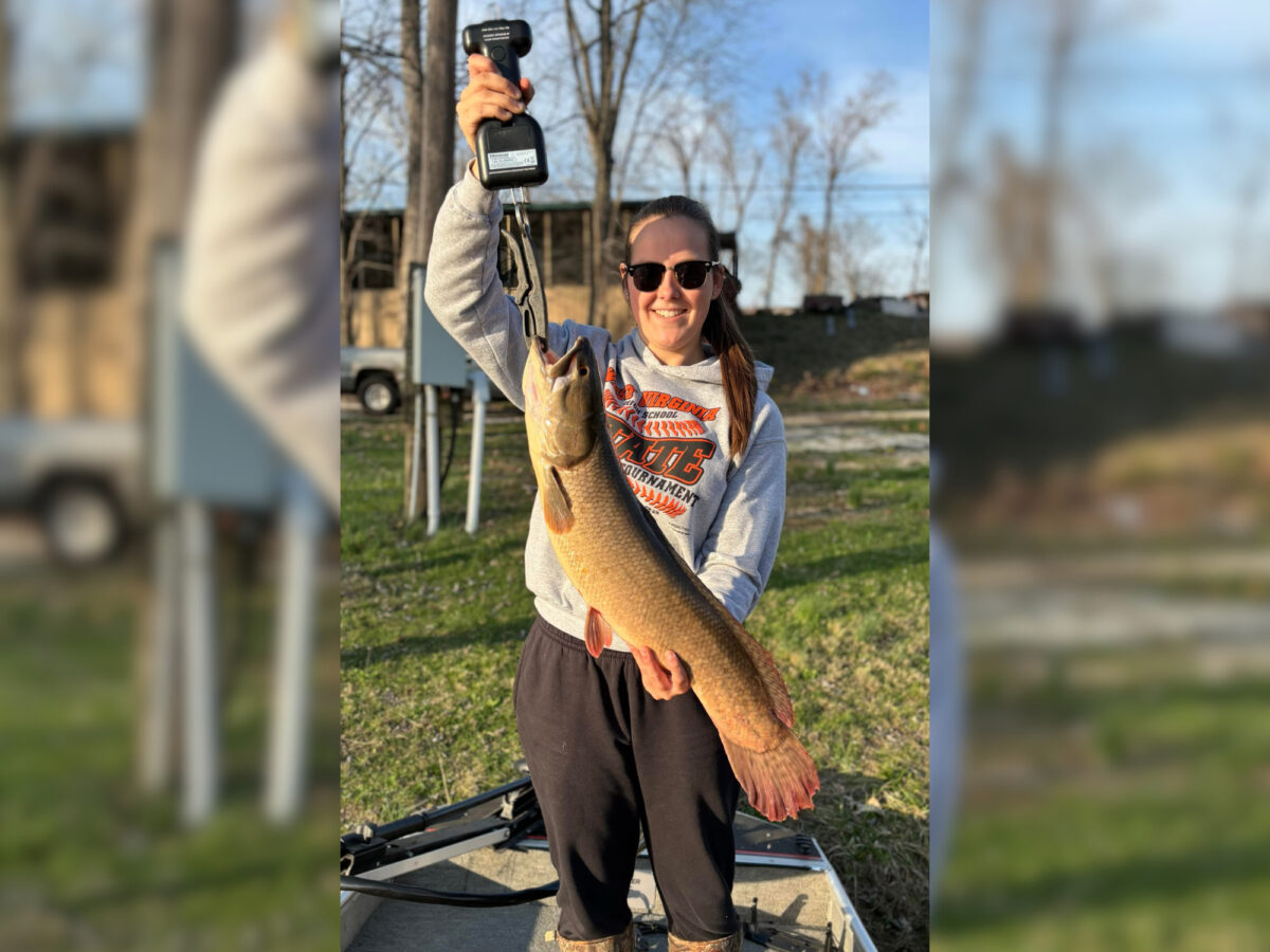 West Virginia angler catches record bowfin - West Virginia Department ...