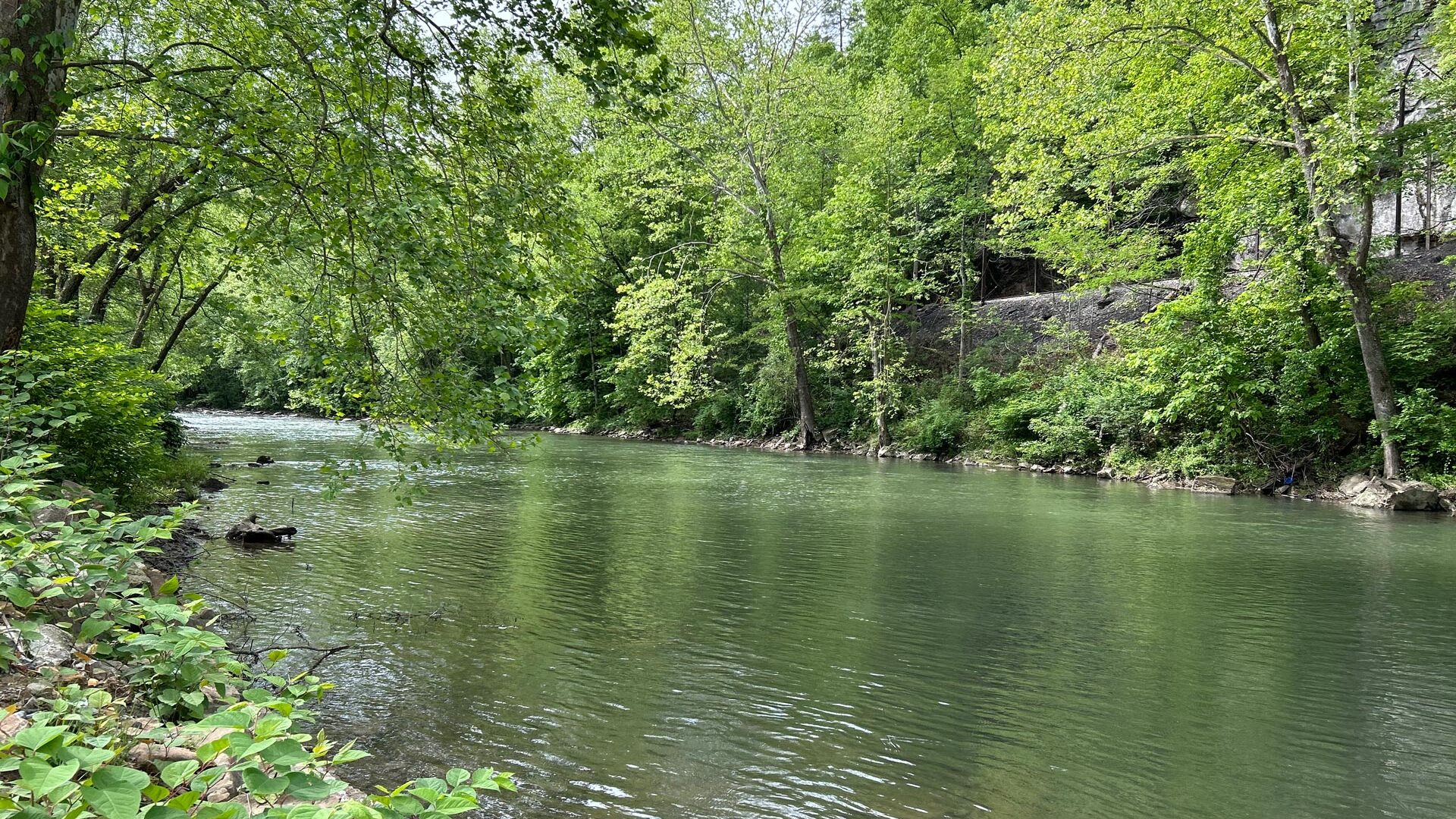 WVDNR opens new public stream access site in Pineville - West Virginia ...