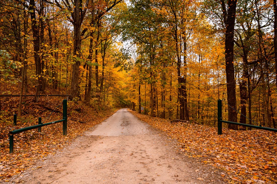 WVDNR Opens Special Access Roads for Hunters with Disabilities - West Virginia Department of ...